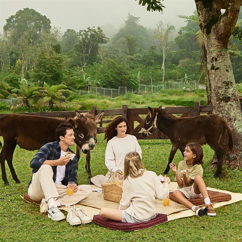 Experience Rural Life at Bali Farm House by Bali Zoo